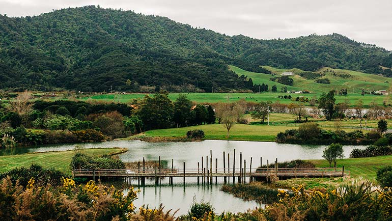 Raupatu – Te Tai Treaty Settlement Stories